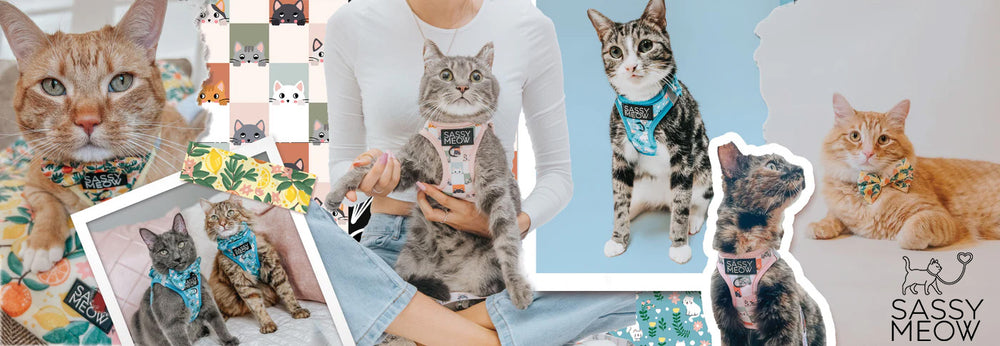 Sassy Meow | Sassy Woof