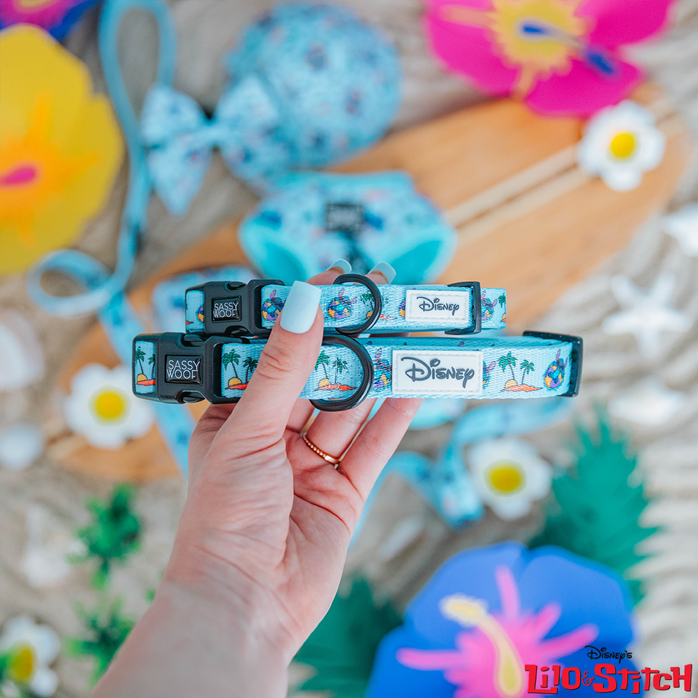 Collar Three Piece Bundle - Disney's Stitch | Sassy Woof Product