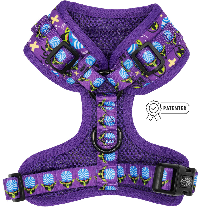 Mojo Jojo™ - Sassy Woof Dog Accessories Collection | Sassy Woof Collection