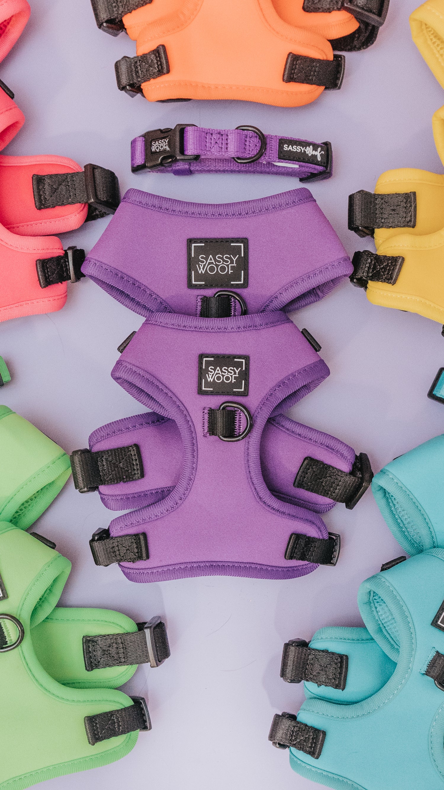 Dog Adjustable Harness - Neon Purple | Sassy Woof Product