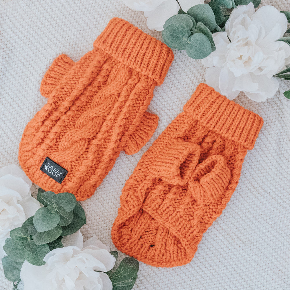 Cable Knit Sweaters | Sassy Woof Collection