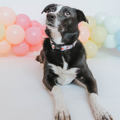 Disney PetSmart Collections | Sassy Woof