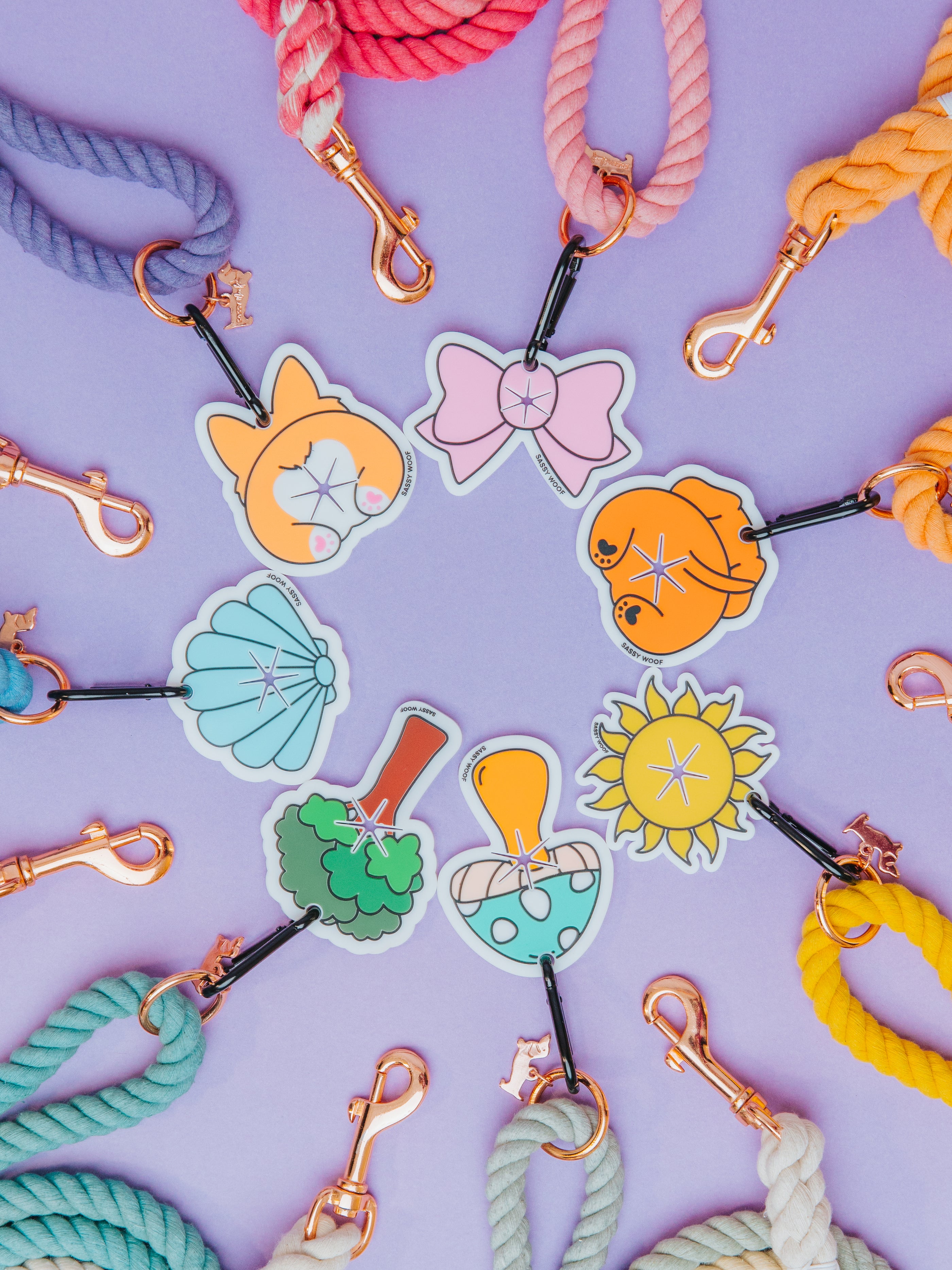 Affordable & Modern Accessories for Dogs | Sassy Woof
