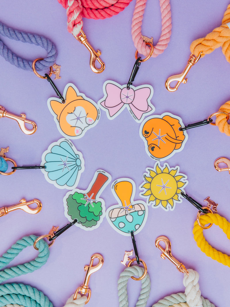 Affordable & Modern Accessories for Dogs | Sassy Woof