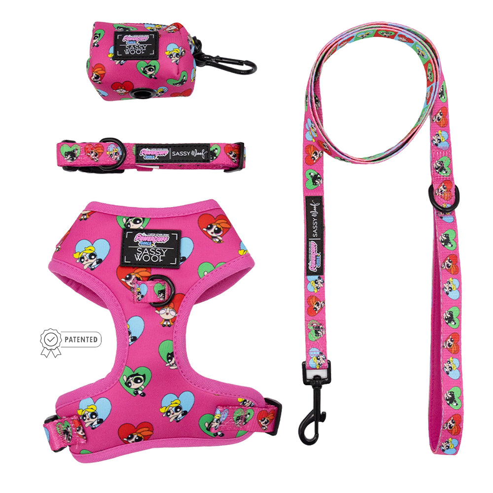 The Powerpuff Girls™ - Valentine | Sassy Woof