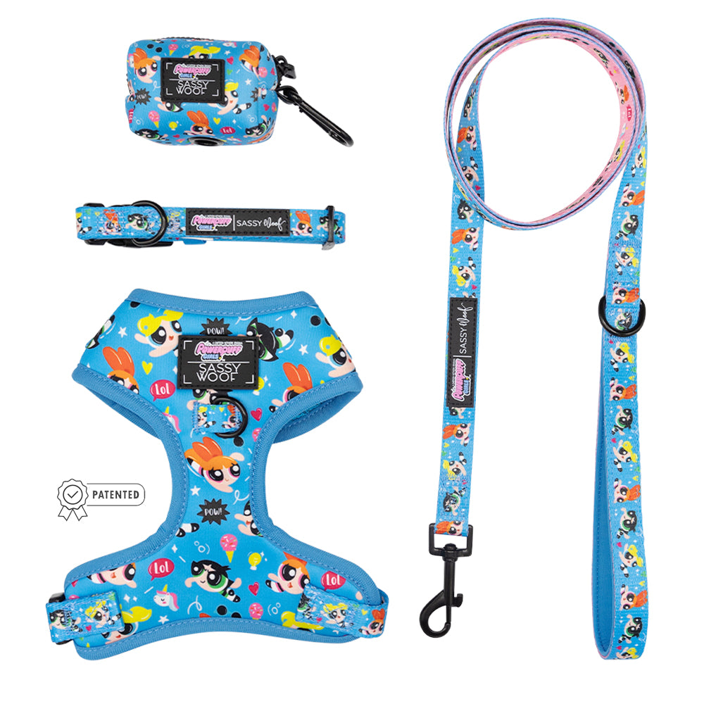 Dog Four Piece Bundle - The Powerpuff Girls™ (Blue) | Sassy Woof Product