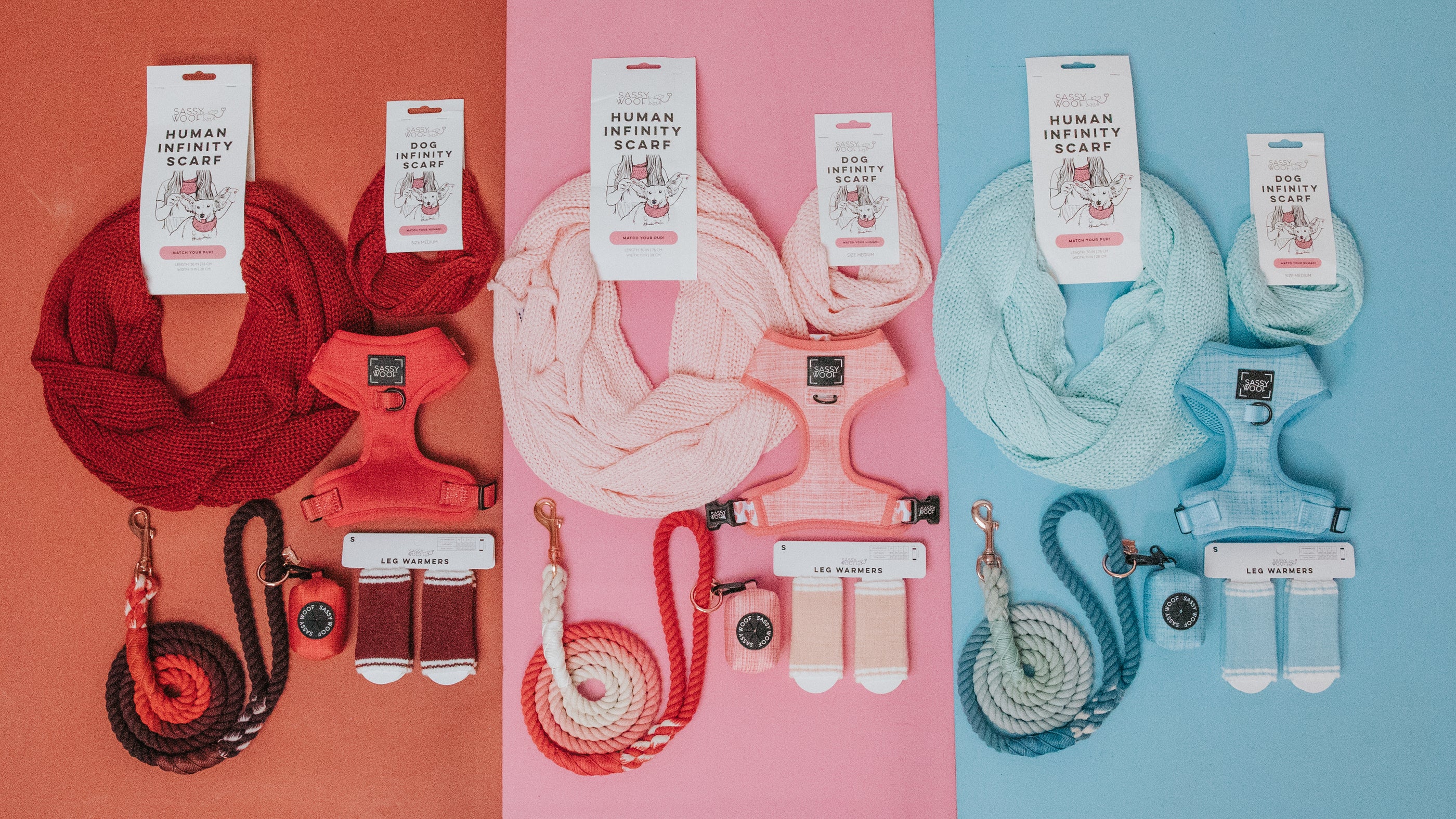 Affordable & Modern Accessories for Dogs | Sassy Woof