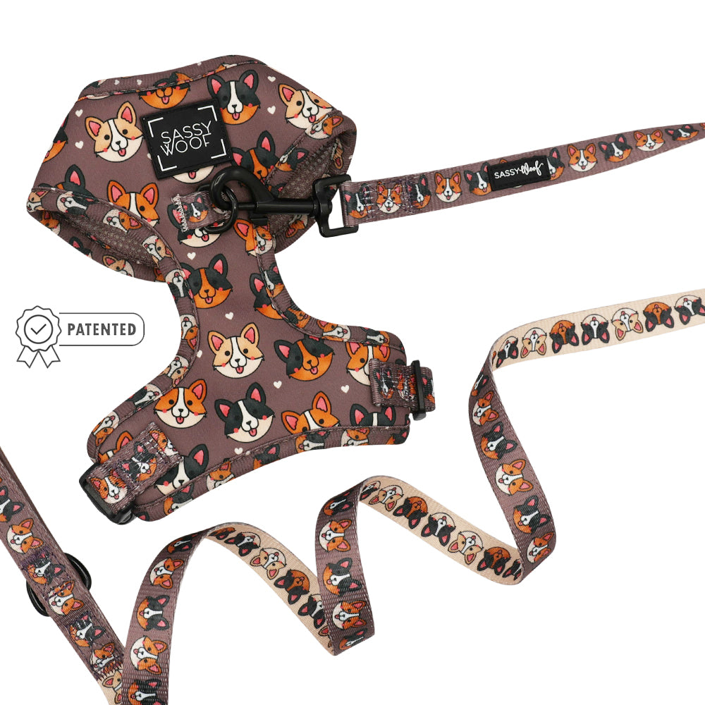 Dog Two Piece Bundle - Cuddly Corgis | Sassy Woof Product