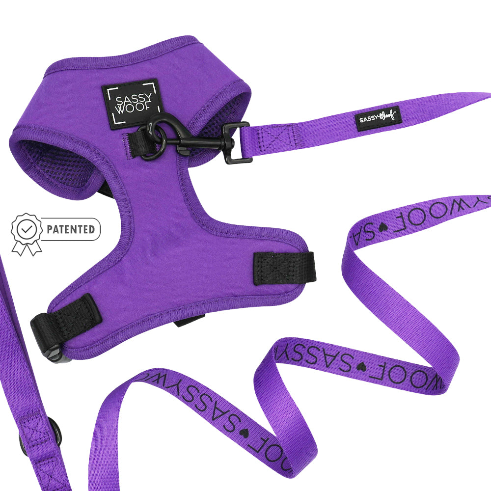 Dog Two Piece Bundle - Neon Purple | Sassy Woof Product