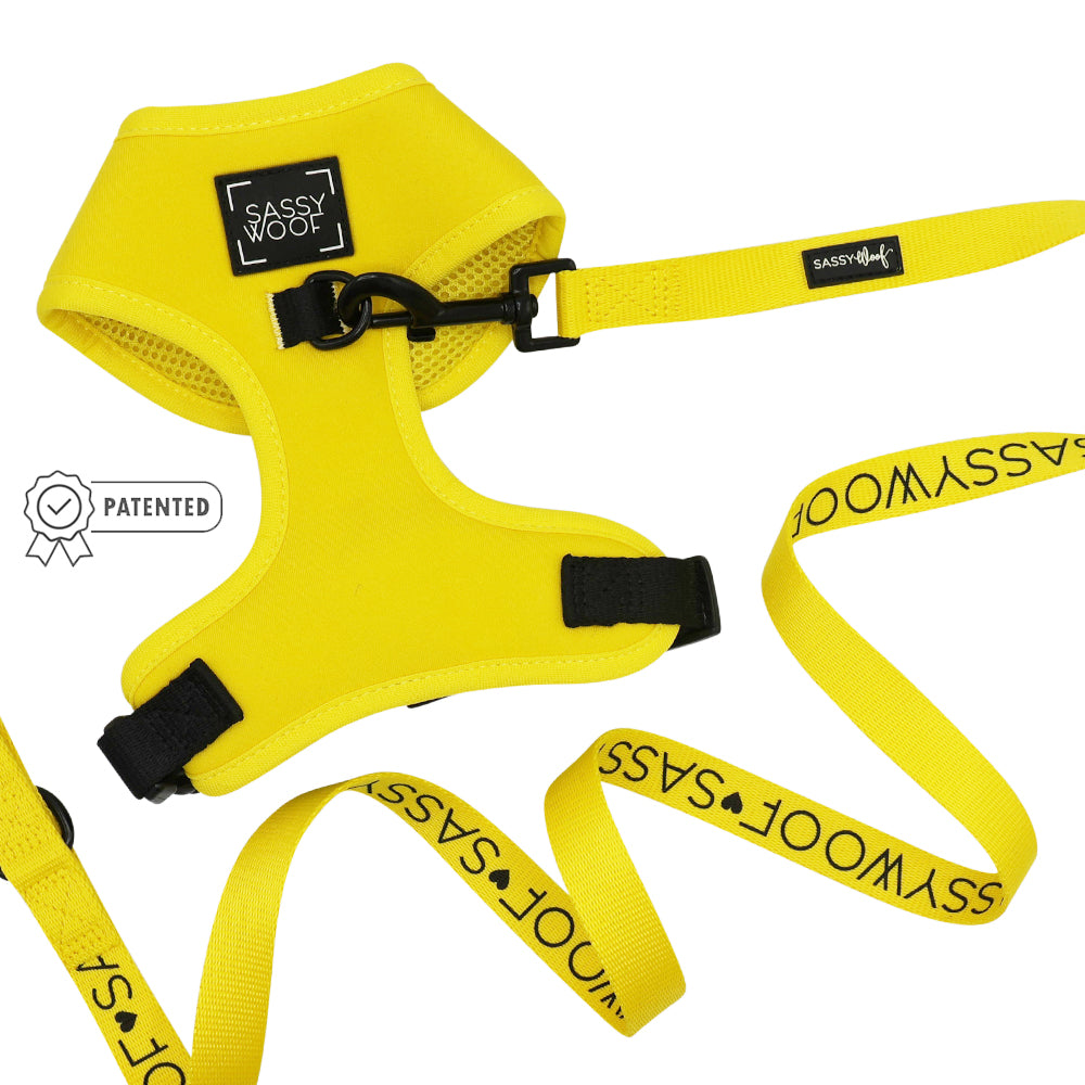 Dog Two Piece Bundle - Neon Yellow | Sassy Woof Product