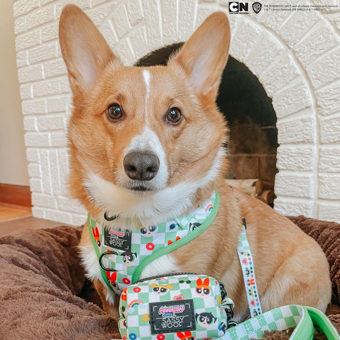 Dog Adjustable Harness - The Powerpuff Girls™ (Green) | Sassy Woof Product