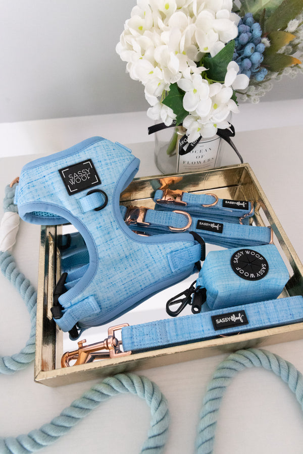 Dog Four Piece Bundle - Blumond | Sassy Woof Product