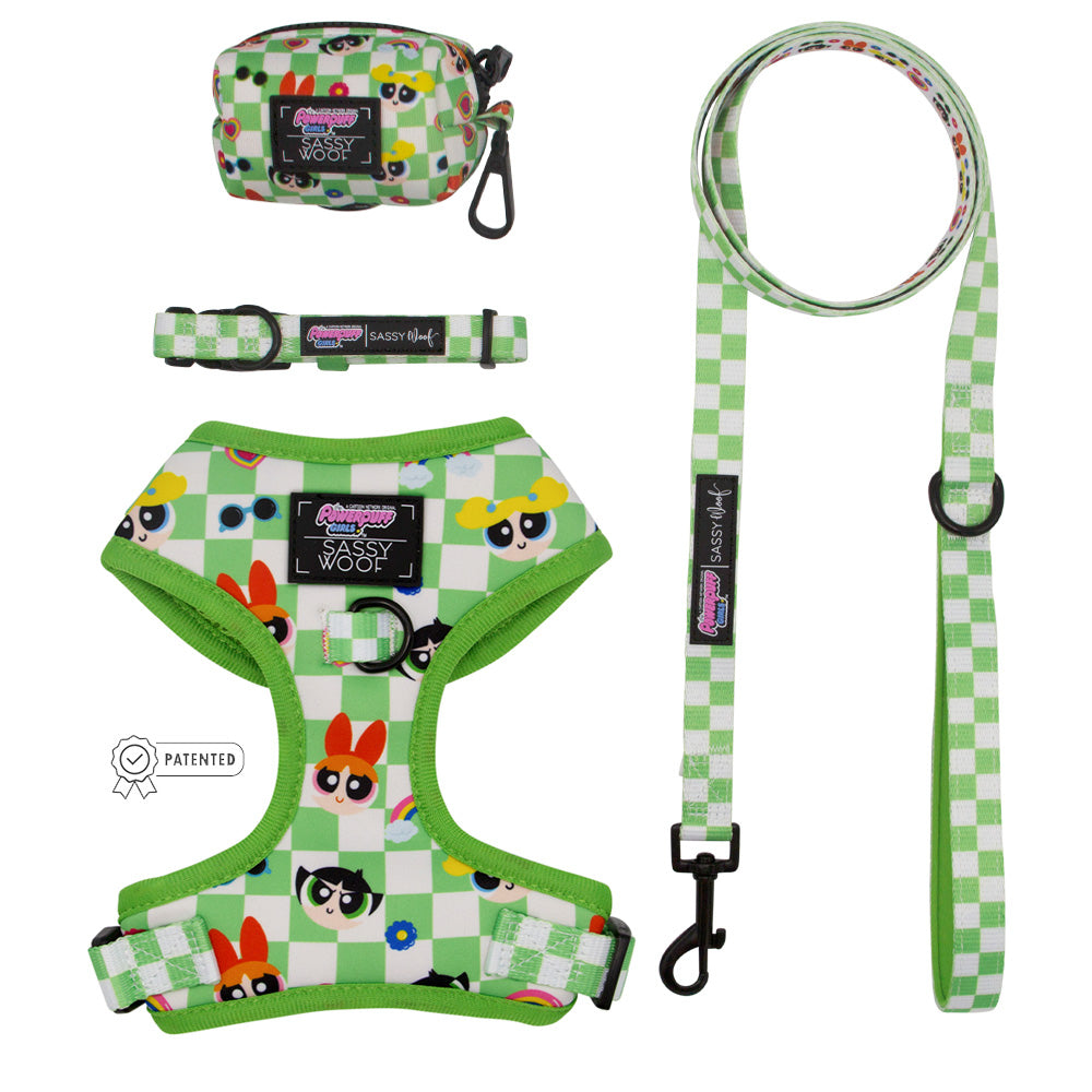 Dog Four Piece Bundle - The Powerpuff Girls™ (Green) | Sassy Woof Product