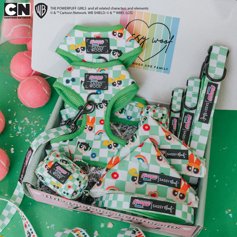 Dog Four Piece Bundle - The Powerpuff Girls™ (Green) | Sassy Woof Product