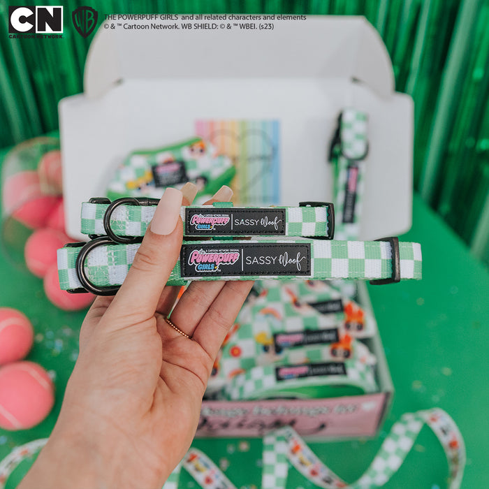 Dog Collar - The Powerpuff Girls™ (Green) | Sassy Woof Product