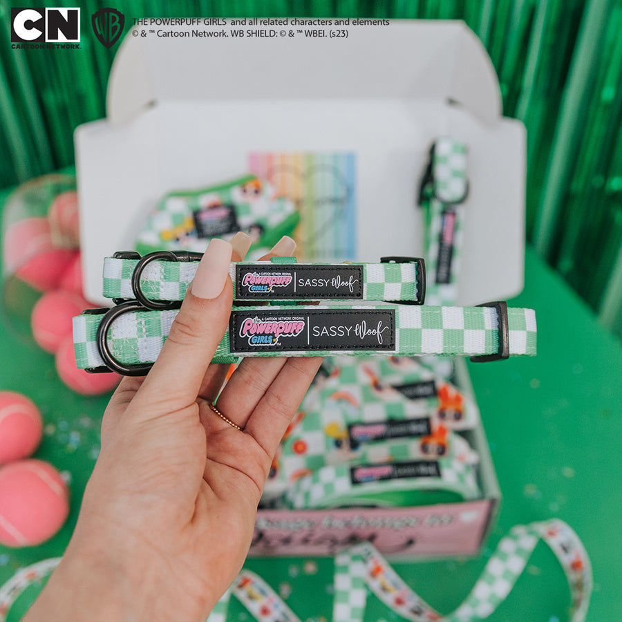 Dog Collar - The Powerpuff Girls™ (Green) | Sassy Woof Product