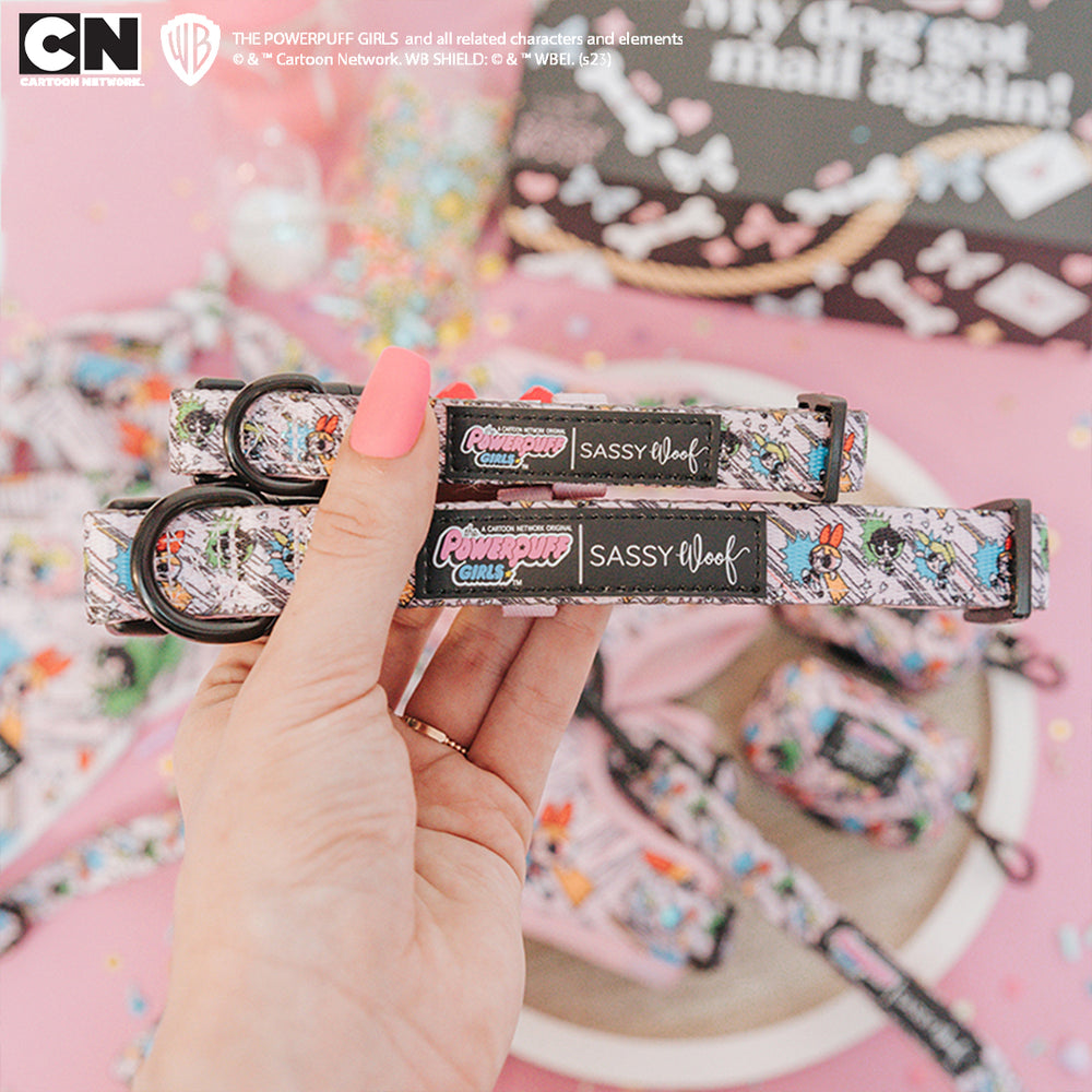 Dog Collar - The Powerpuff Girls™ (Pink) | Sassy Woof Product