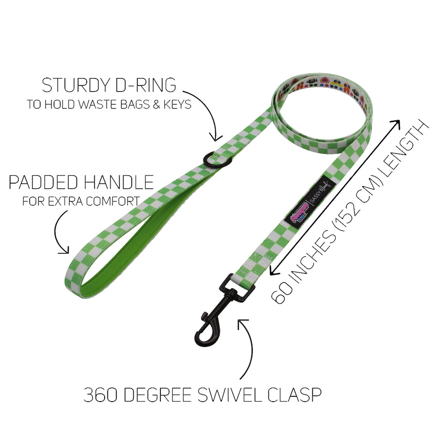 Dog Four Piece Bundle - The Powerpuff Girls™ (Green) | Sassy Woof Product