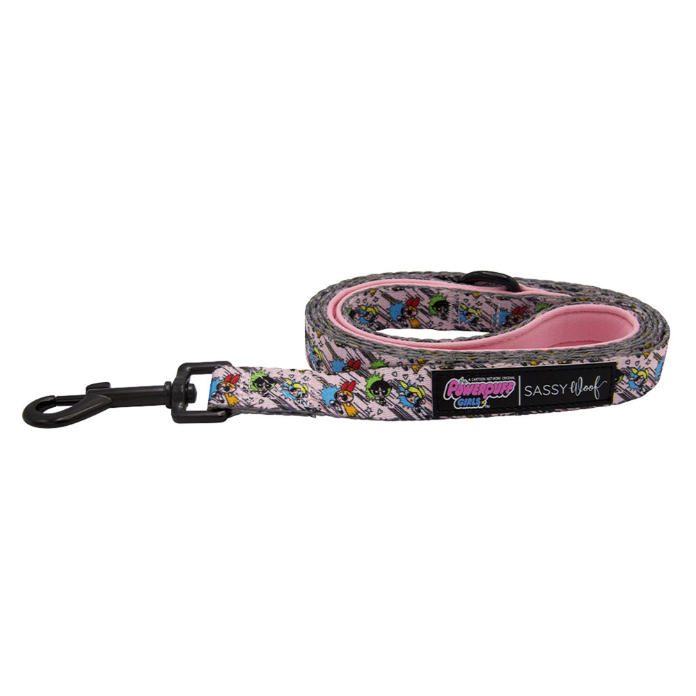 Dog Leash - The Powerpuff Girls™ (Pink) | Sassy Woof Product
