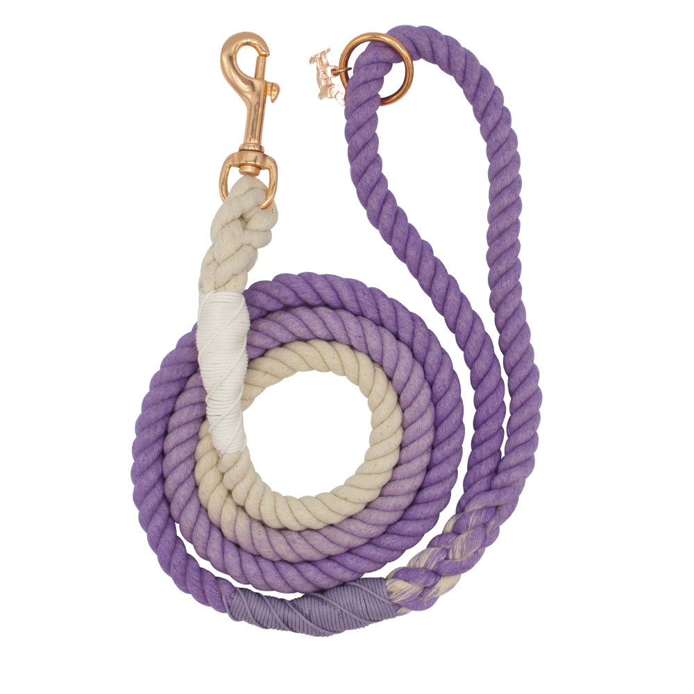 Dog Rope Leash - Royal | Sassy Woof Product