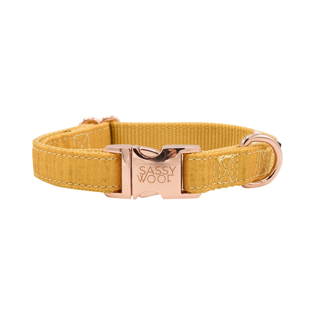Dog Collar - Sunflower Fields | Sassy Woof Product