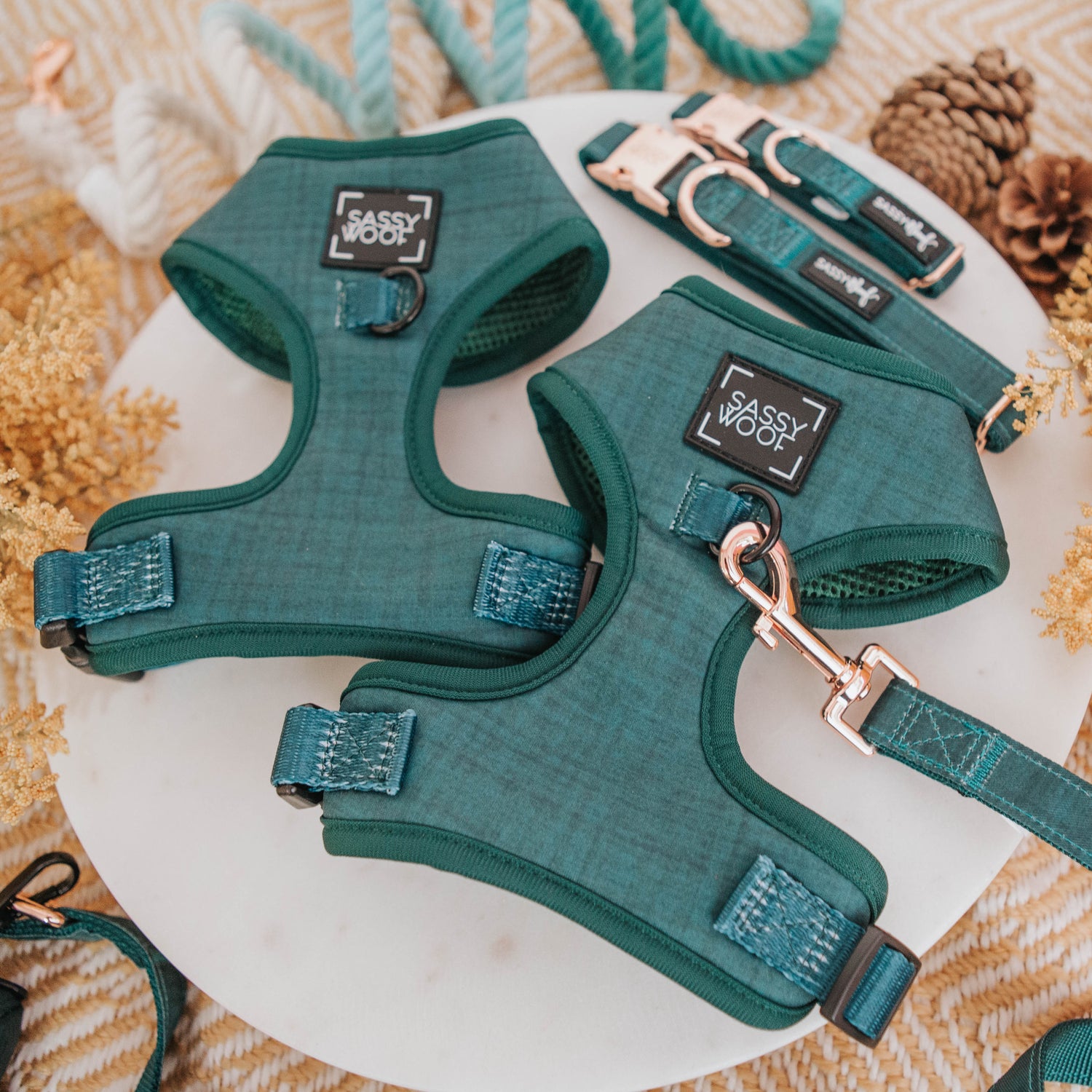 Sassy Woof Dog Harness
