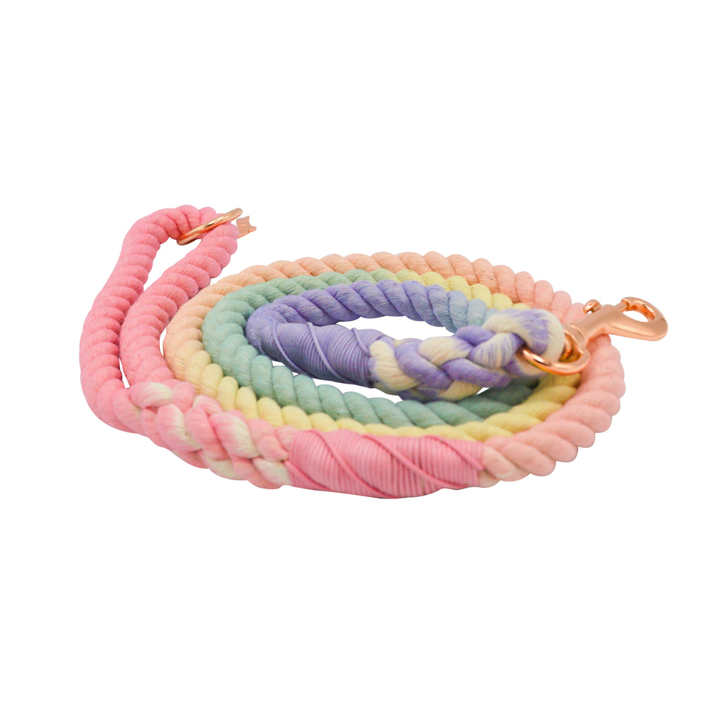 Dog Rope Leash - Rainbow Bright | Sassy Woof Product